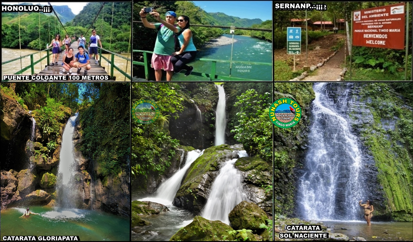 Tingo María Nunash Tours